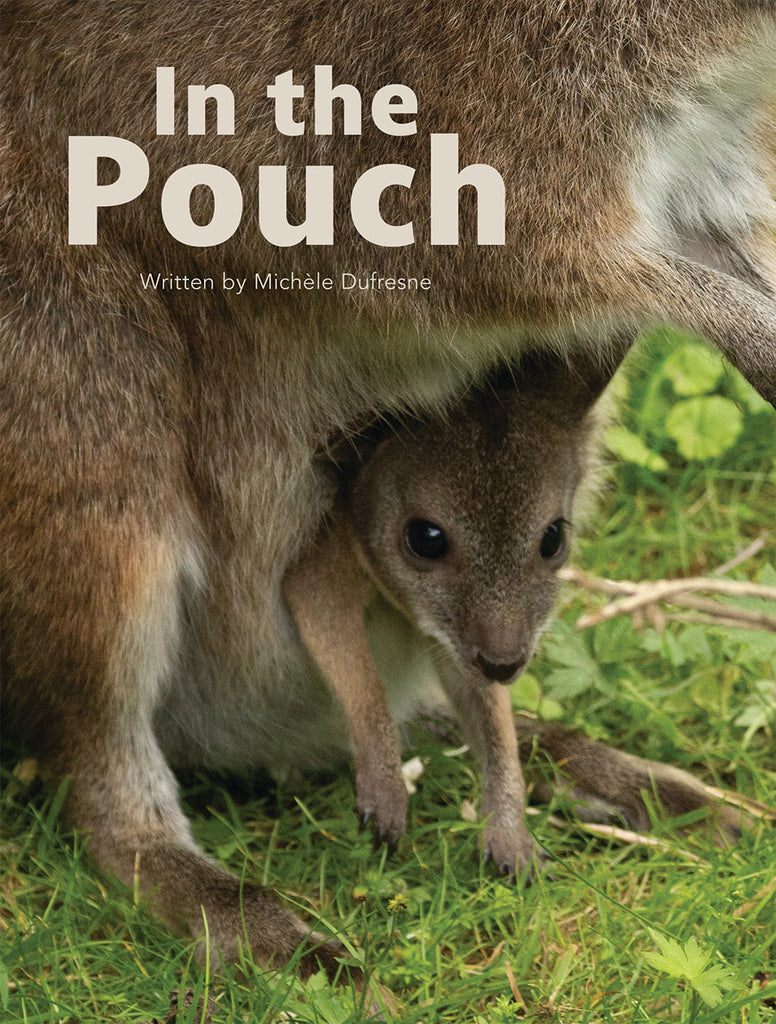 In the Pouch – Pioneer Valley Books