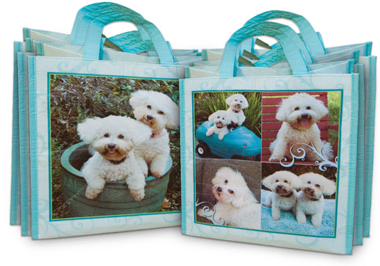 Bella and Rosie Shopping Bag – Pioneer Valley Books