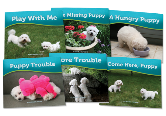 Bella and Rosie Teal Set – Pioneer Valley Books