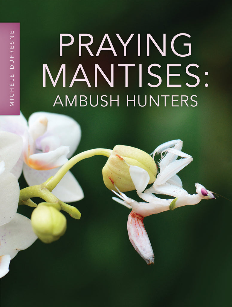 Praying Mantises: Ambush Hunters – Pioneer Valley Books