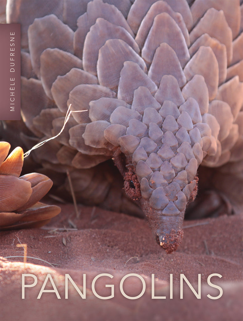 Pangolins – Pioneer Valley Books