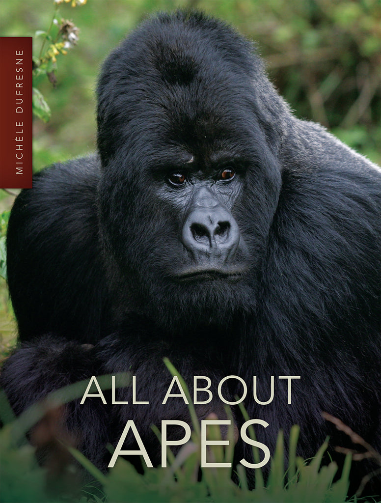 All about Apes – Pioneer Valley Books
