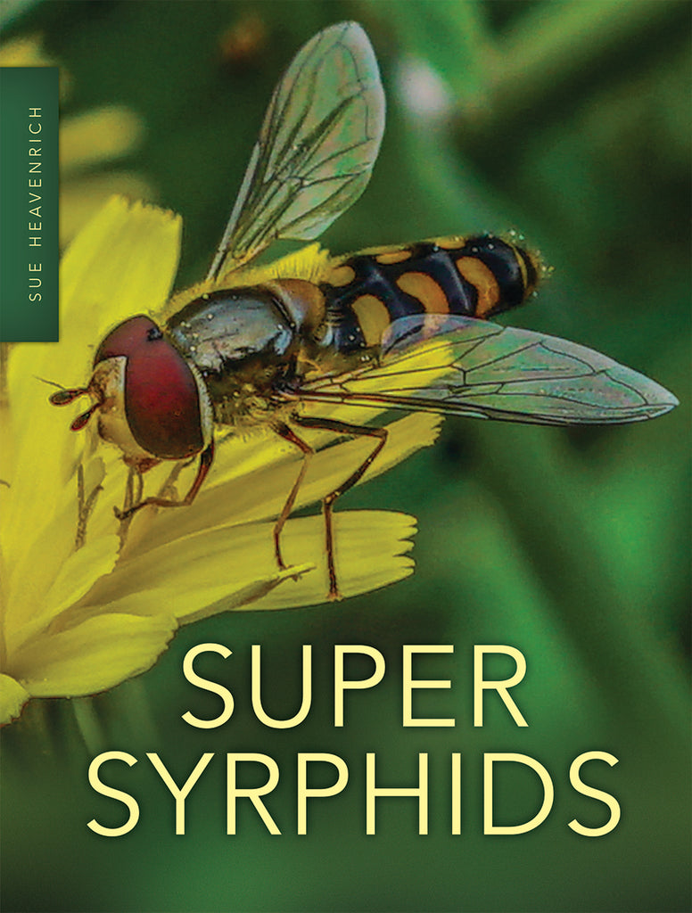 Super Syrphids – Pioneer Valley Books