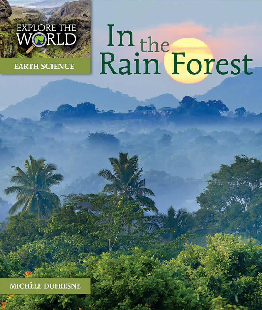 Rainforest Rain