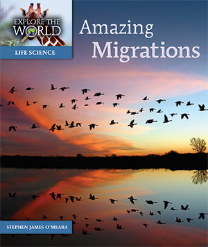 Amazing Migrations – Pioneer Valley Books