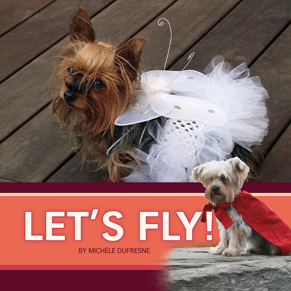 Lap Book: Let's Fly! – Pioneer Valley Books