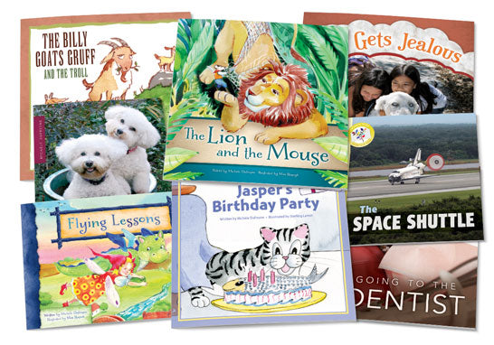 Classroom Library Level F – Pioneer Valley Books