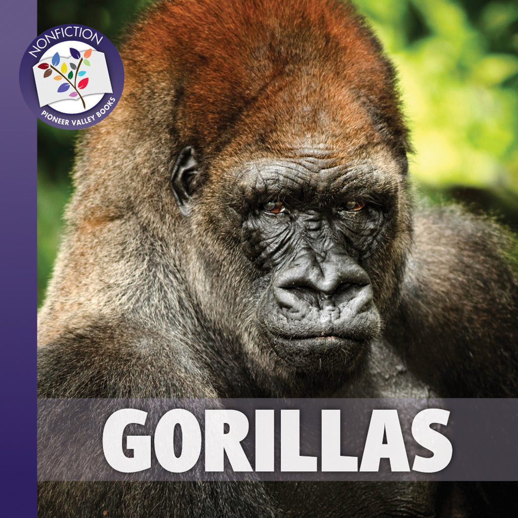 Gorillas – Pioneer Valley Books