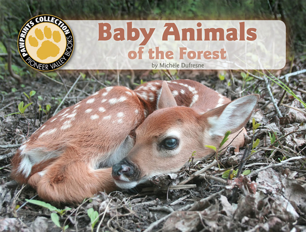 Baby Animals of the Forest – Pioneer Valley Books
