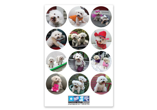 Bella and Rosie Stickers – Pioneer Valley Books