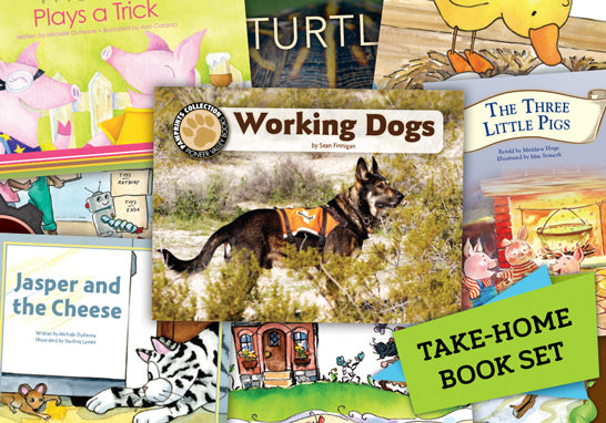 Read-at-Home Take-Home Books Level H – Pioneer Valley Books