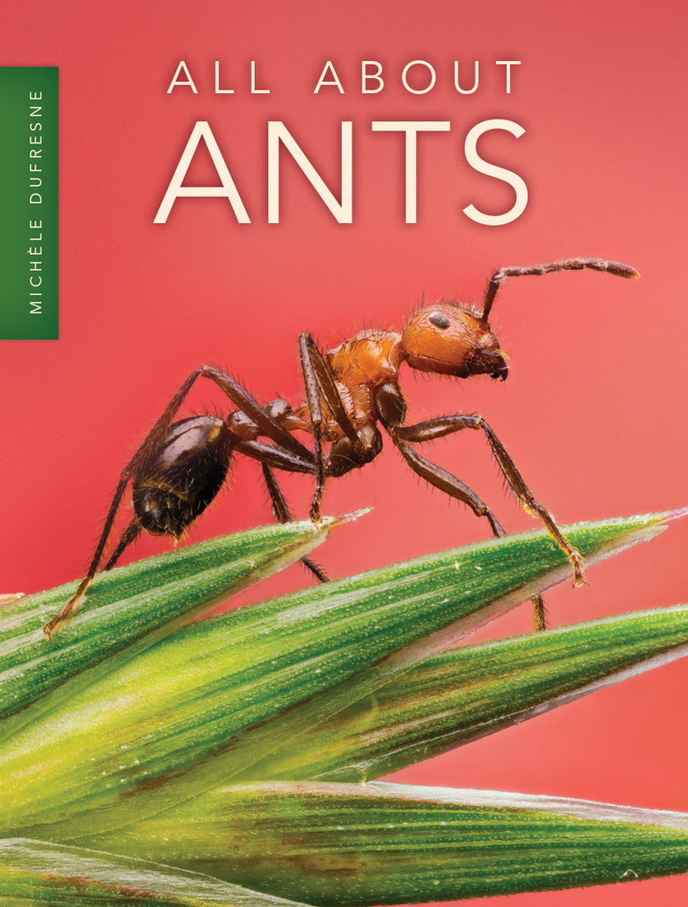 All About Ants – Pioneer Valley Books