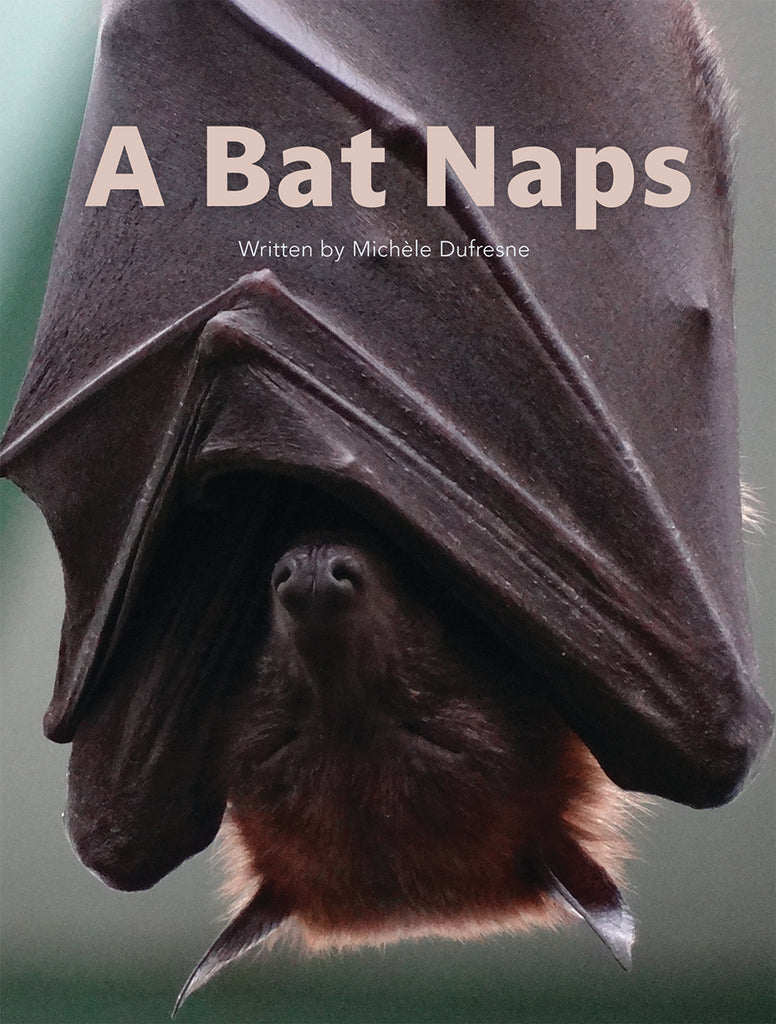 A Bat Naps – Pioneer Valley Books