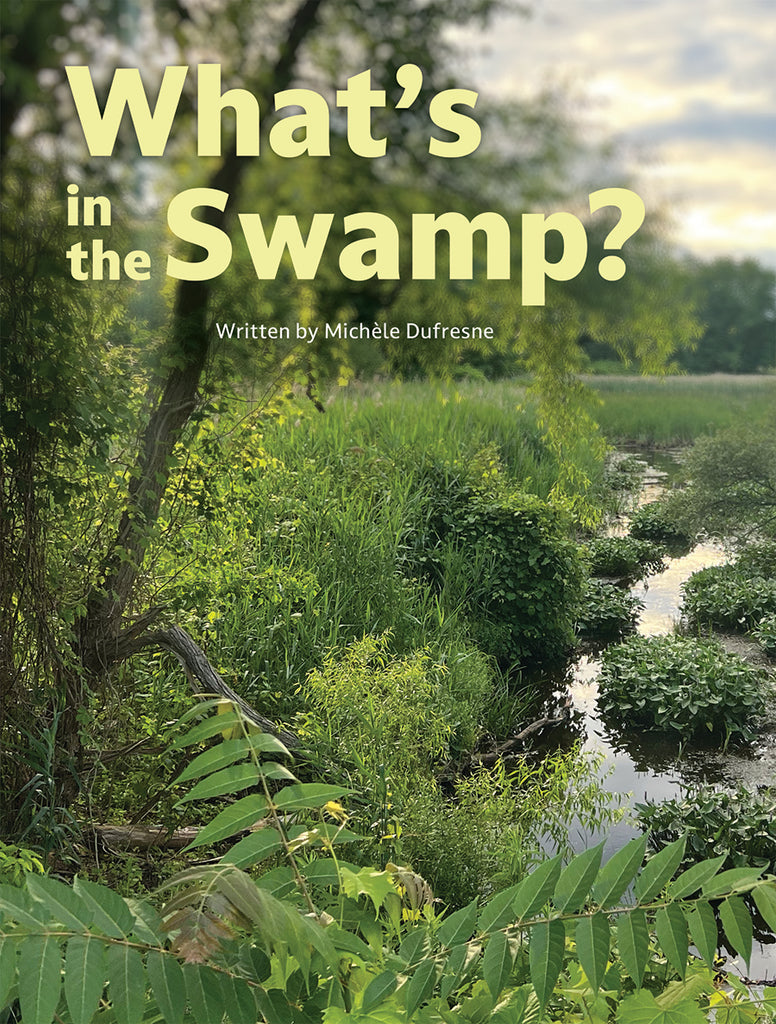 What's in the Swamp? – Pioneer Valley Books