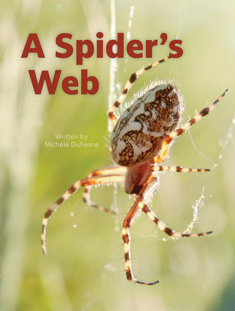 A Spider's Web – Pioneer Valley Books