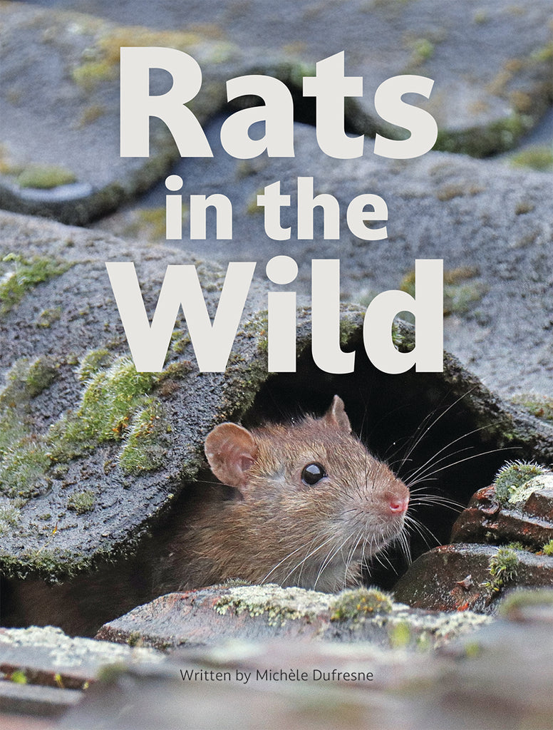 Rats in the Wild – Pioneer Valley Books