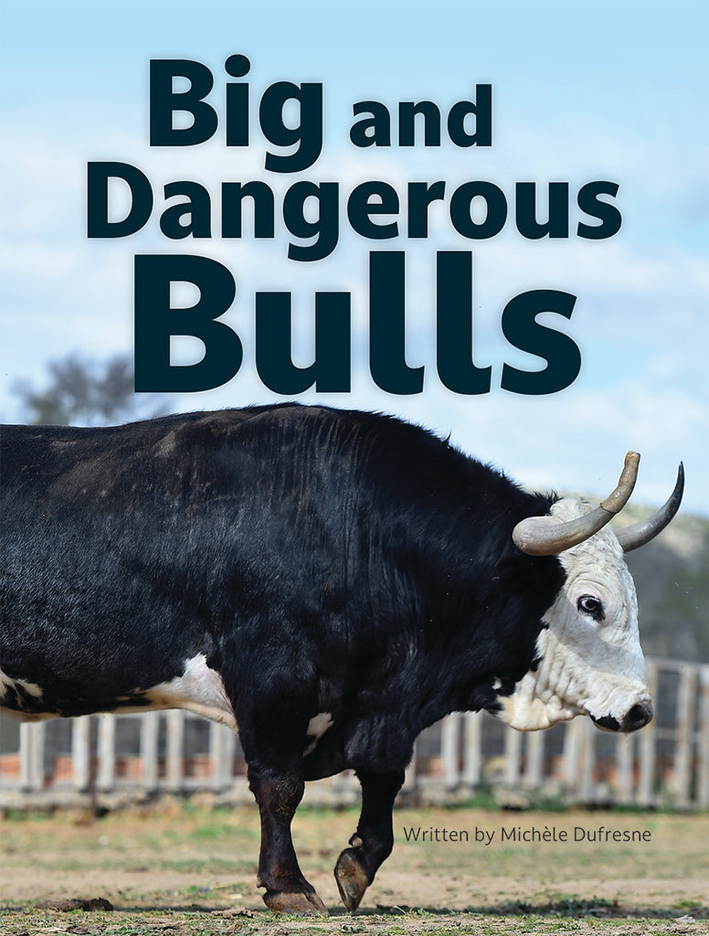 Big and Dangerous Bulls – Pioneer Valley Books