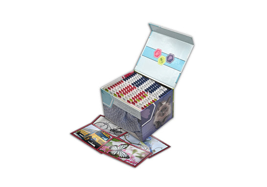 Stepping Together Picture Cards Box Set – Pioneer Valley Books