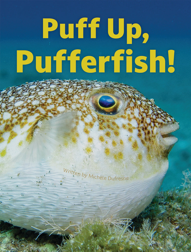 Puff Up, Pufferfish! – Pioneer Valley Books