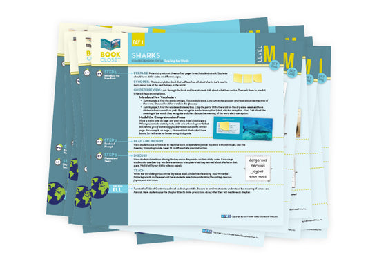 Literacy Footprints Book Closet Lesson Plans, Level M (Set One ...