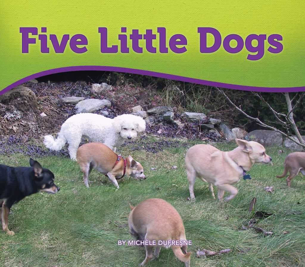 Five Little Dogs – Pioneer Valley Books