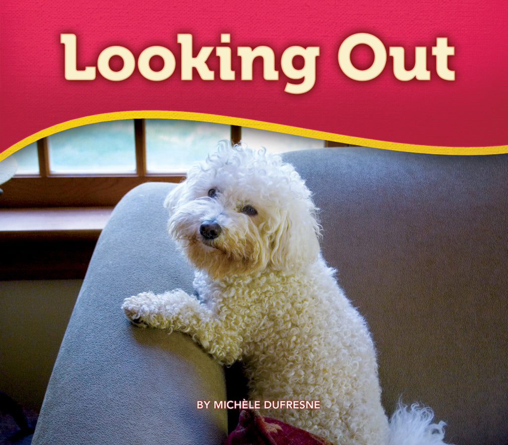 Looking Out – Pioneer Valley Books