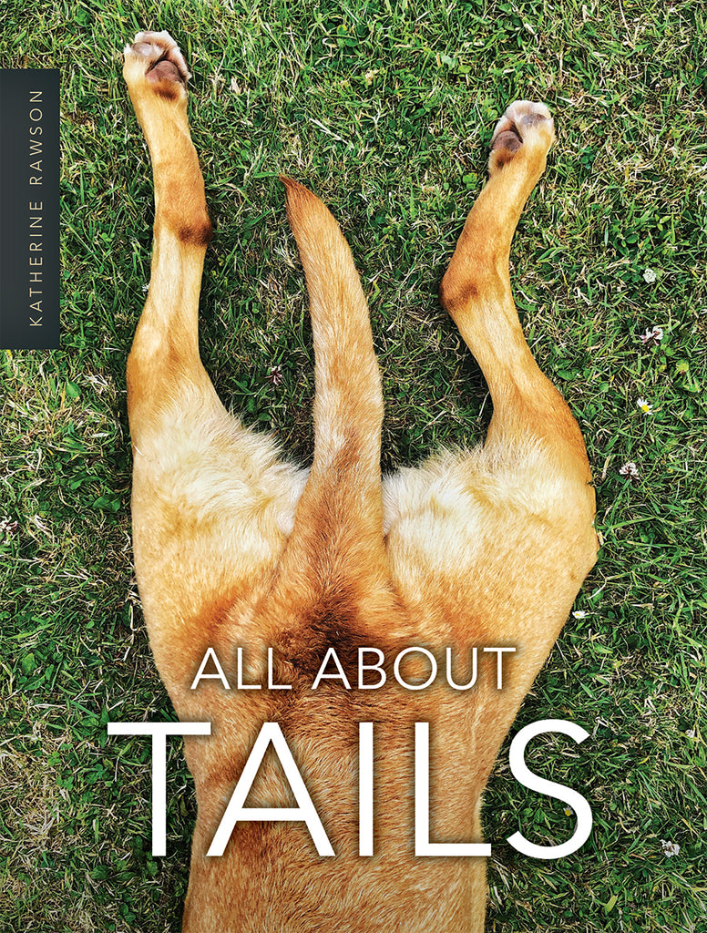 All about Tails – Pioneer Valley Books