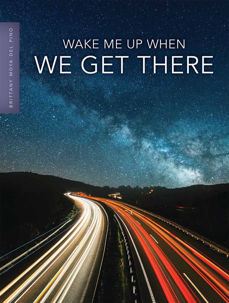 Wake Me Up When We Get There – Pioneer Valley Books