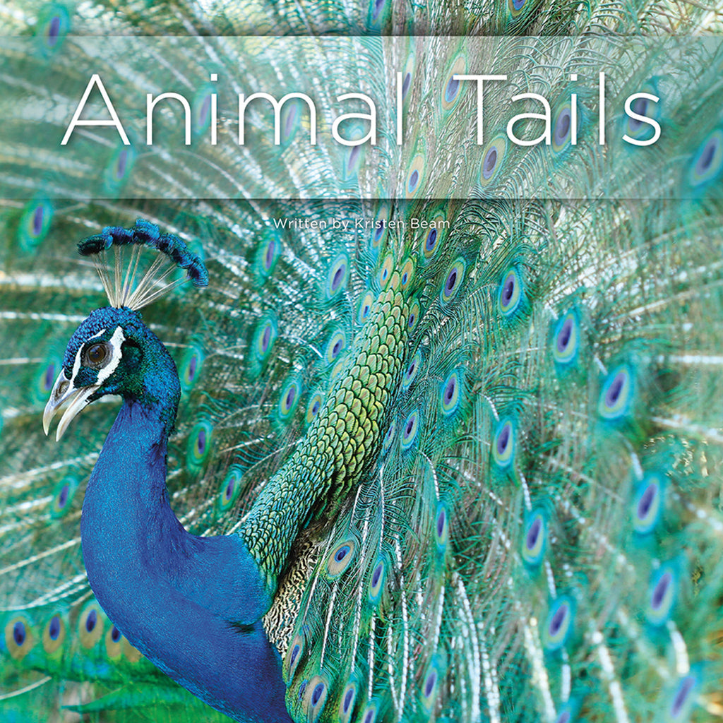 Animal Tails – Pioneer Valley Books
