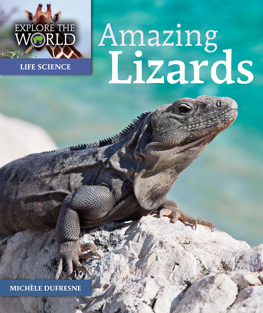 Amazing Lizards – Pioneer Valley Books