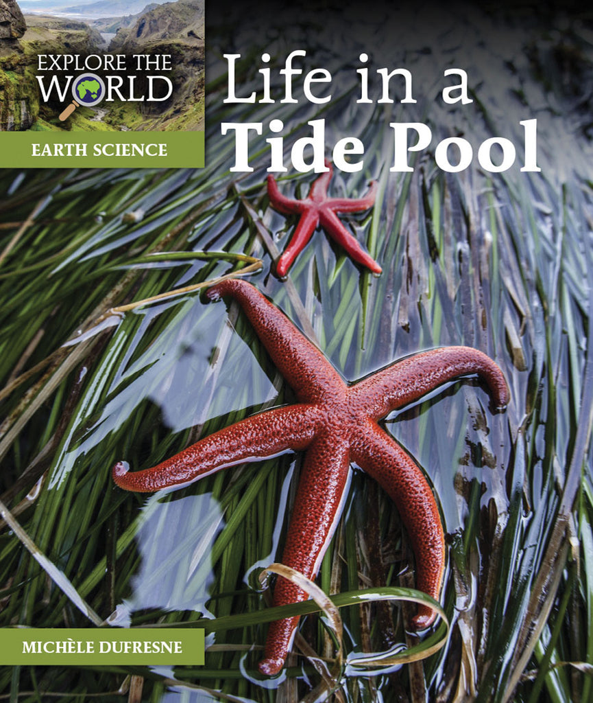 Life in a Tide Pool – Pioneer Valley Books