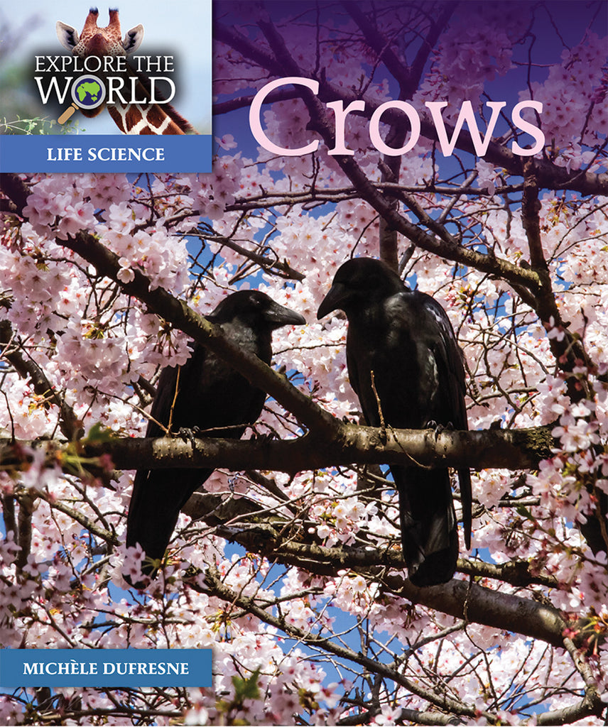 Crows – Pioneer Valley Books