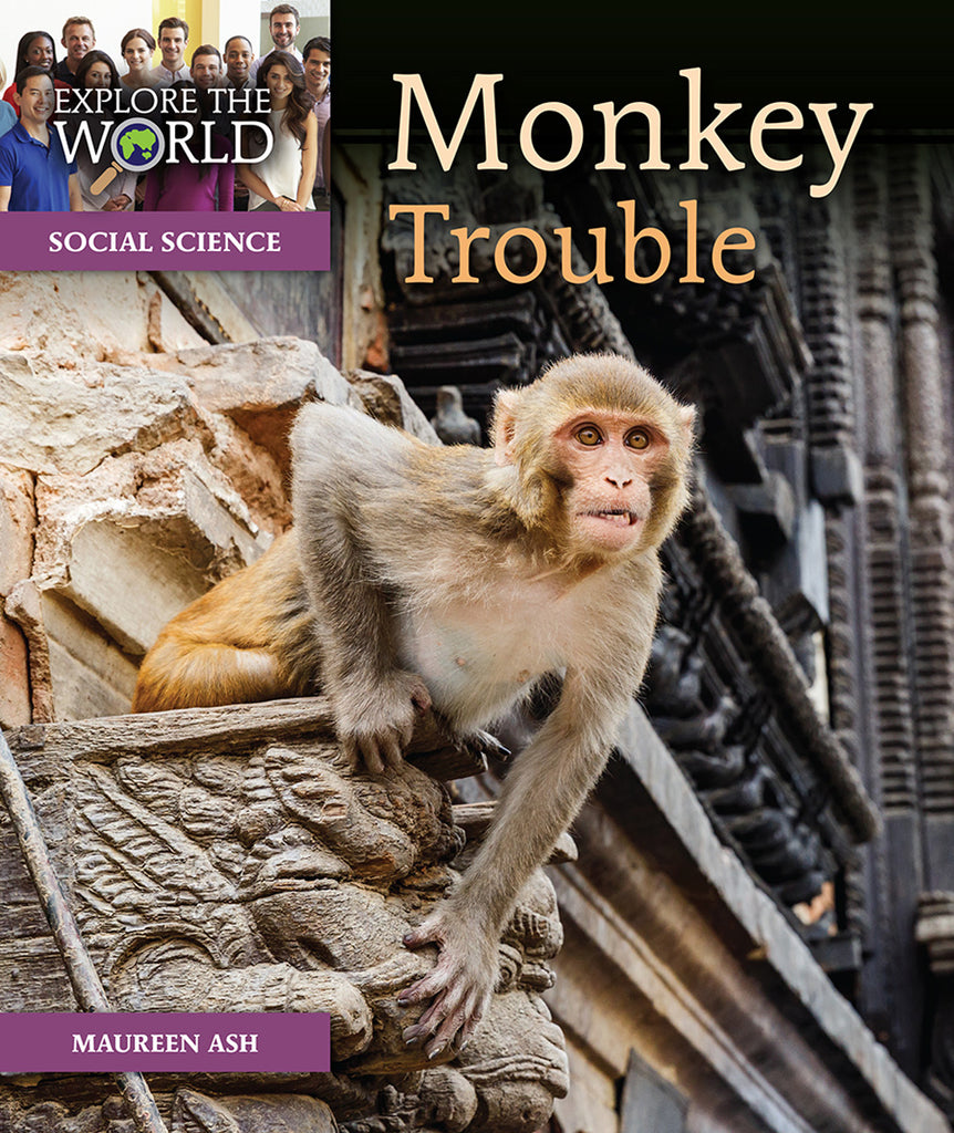 Monkey Trouble – Pioneer Valley Books