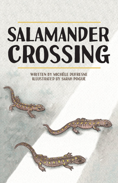 Salamander Crossing – Pioneer Valley Books
