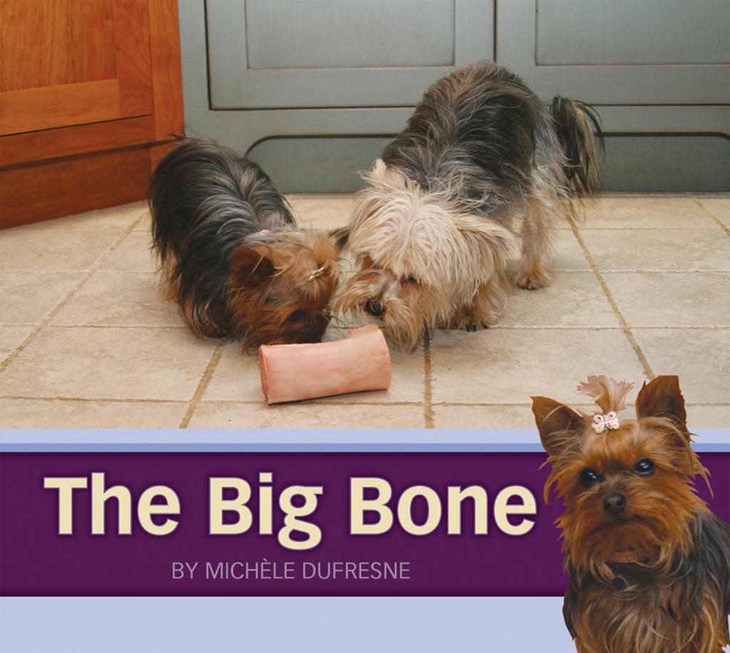 The Big Bone – Pioneer Valley Books