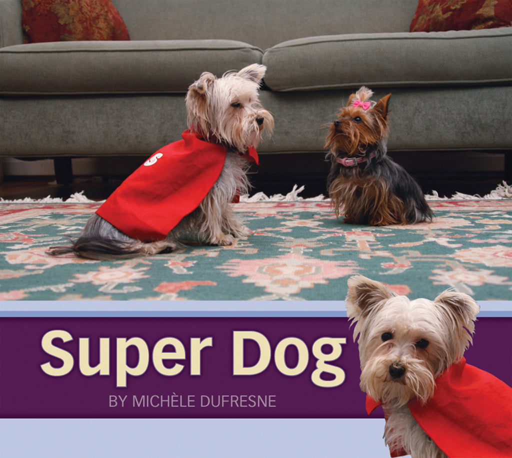 Super Dog – Pioneer Valley Books