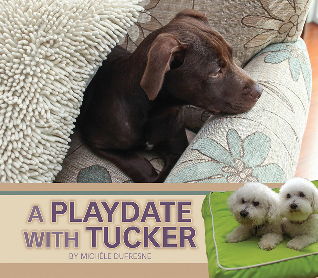 A Playdate with Tucker – Pioneer Valley Books