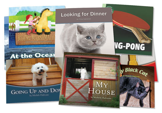 Classroom Library Level C – Pioneer Valley Books