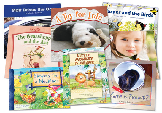 Classroom Library Level D – Pioneer Valley Books