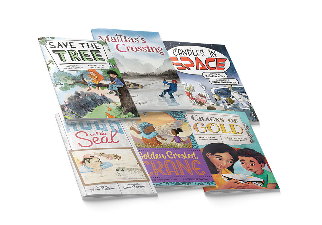 Lantern Fiction Set 6 – Pioneer Valley Books