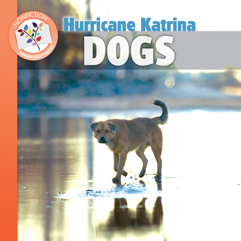 Hurricane Katrina Dogs Many Pets, Rescued From Katrina, Are Finding
