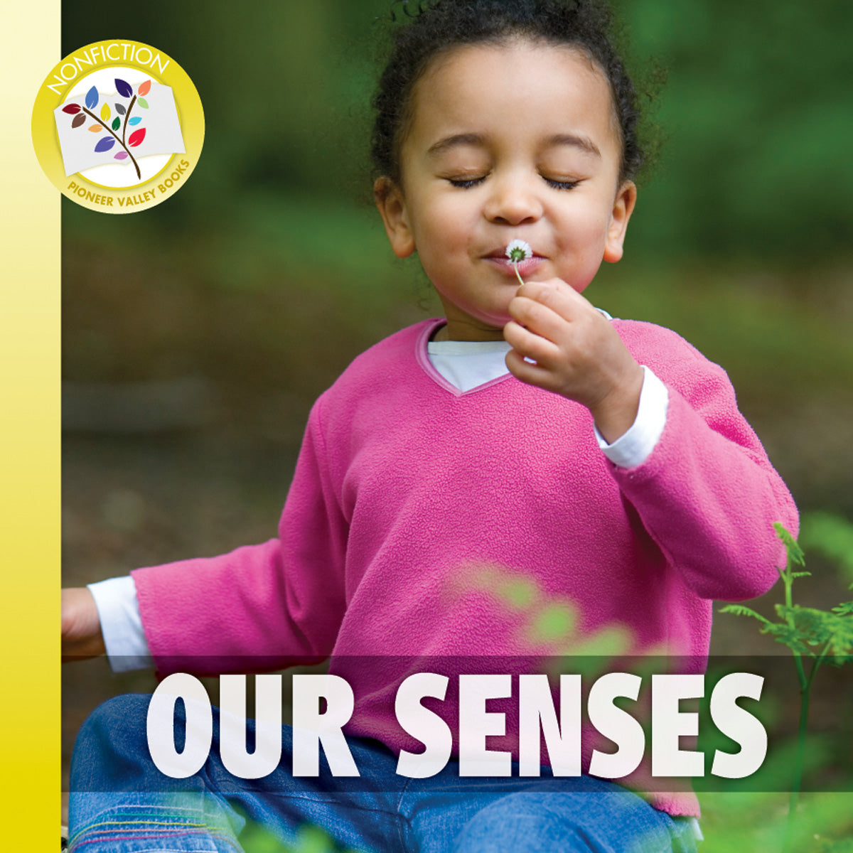 Our Senses – Pioneer Valley Books