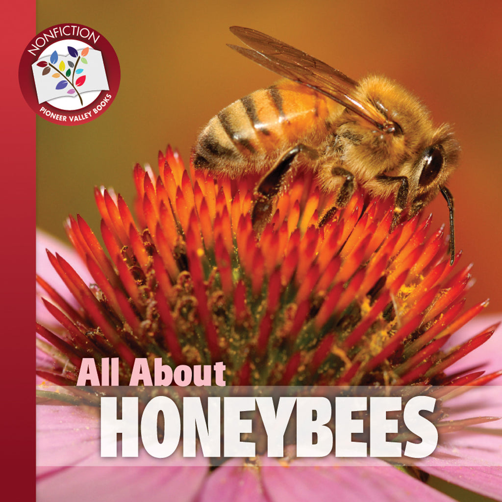 All About Honeybees – Pioneer Valley Books