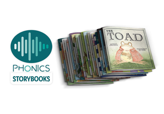Phonics Storybooks Building Up Set 1 – Pioneer Valley Books