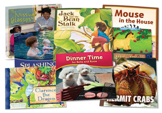 Reading Recovery 100-Title Bundle – Pioneer Valley Books