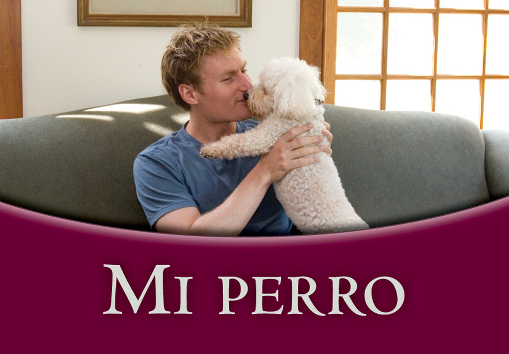 Mi perro (color) – Pioneer Valley Books