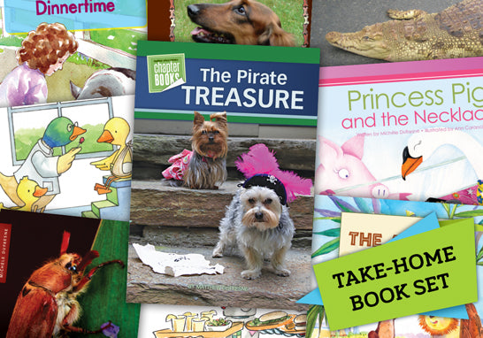 Read-at-Home Take-Home Books Level I – Pioneer Valley Books
