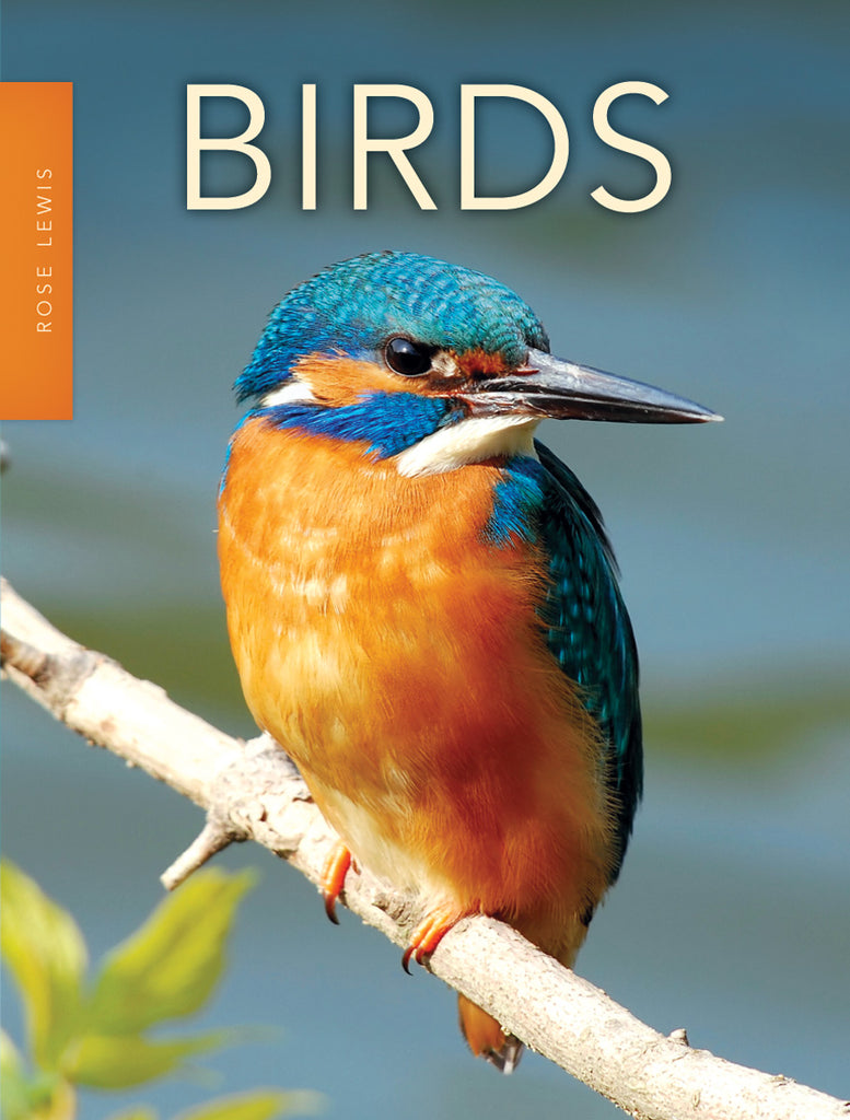 Birds – Pioneer Valley Books