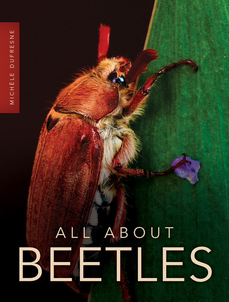 All About Beetles – Pioneer Valley Books